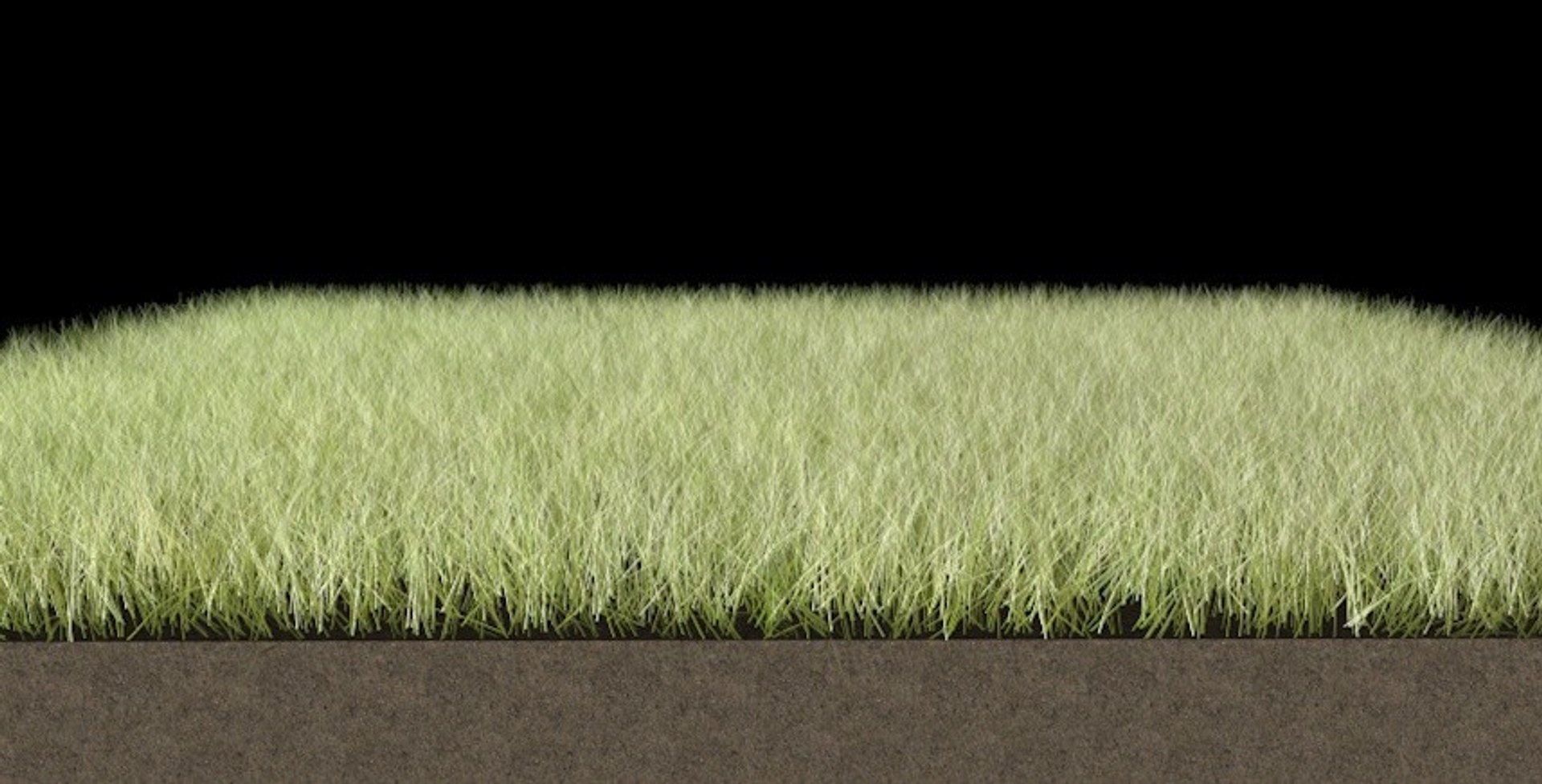Dynamic Grasses 3d Model