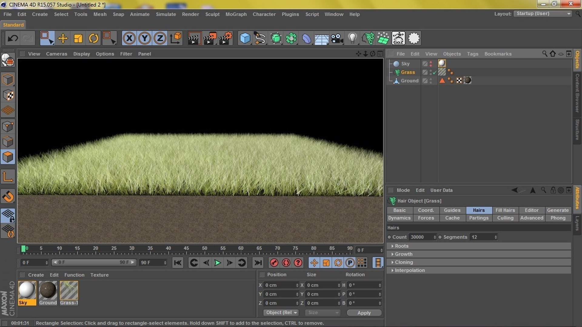 Dynamic Grasses 3d Model