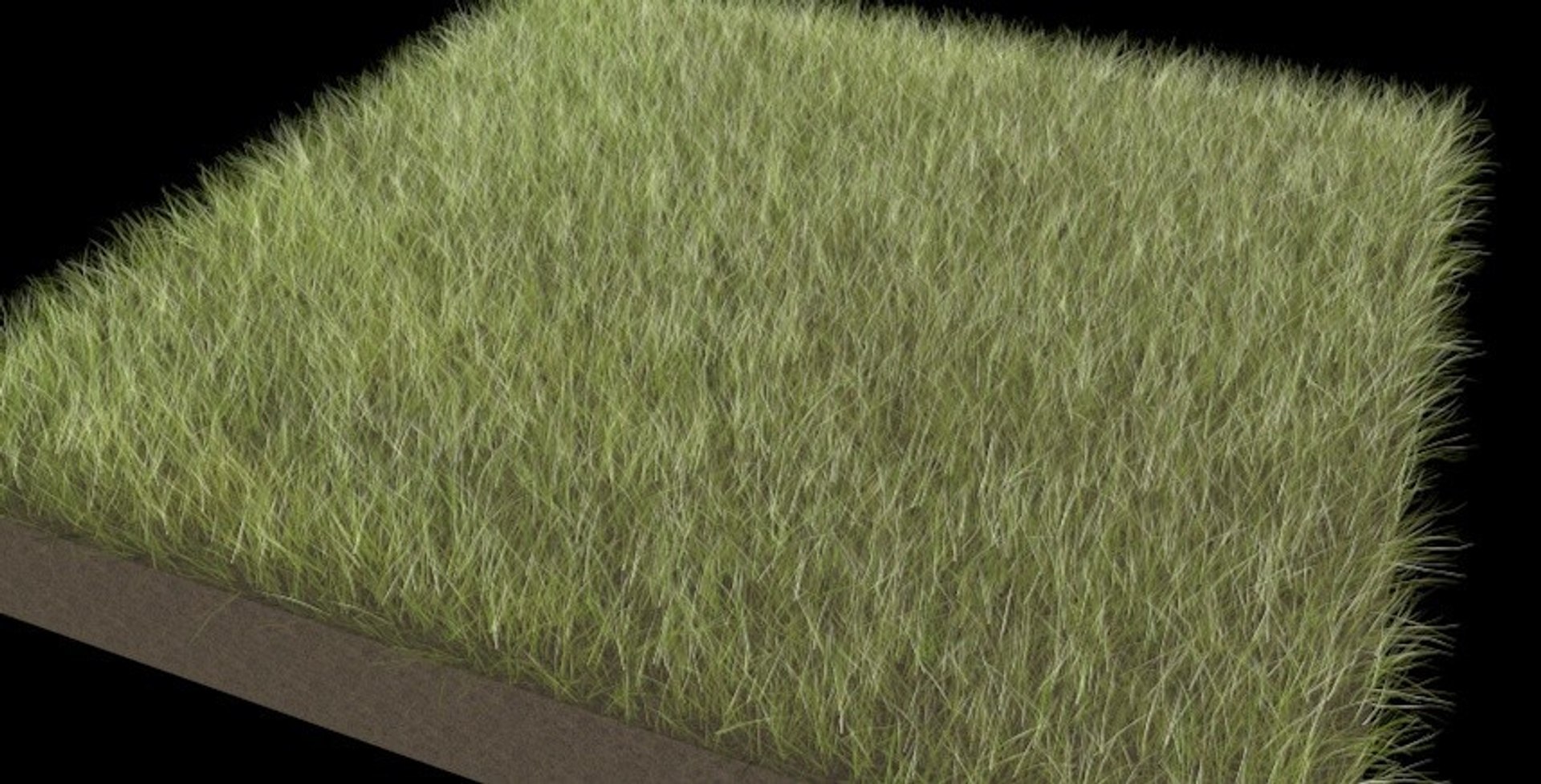 Dynamic Grasses 3d Model