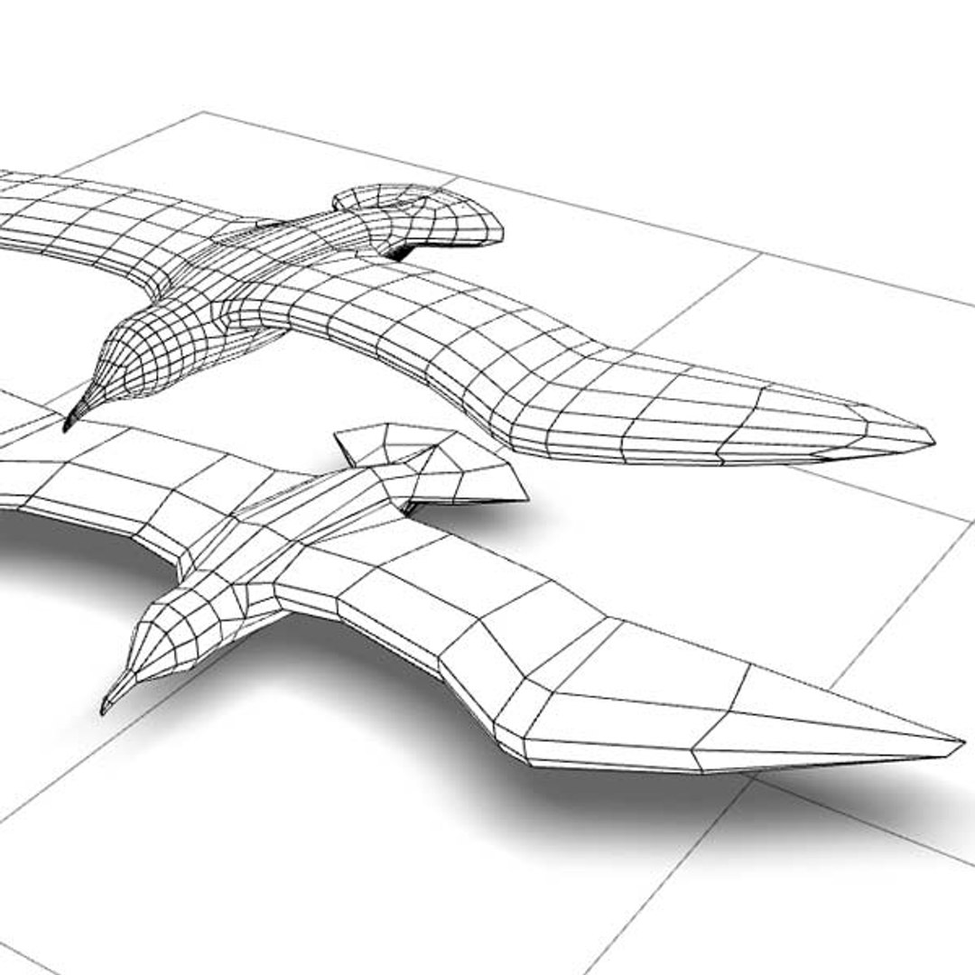 seagull animation 3ds