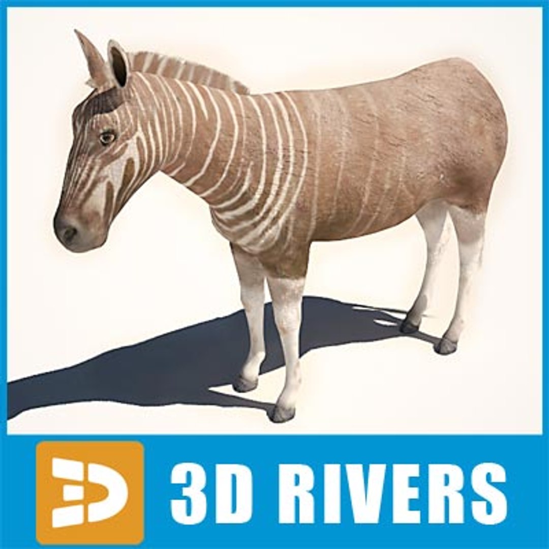 3d Model Quagga Extinct Animals