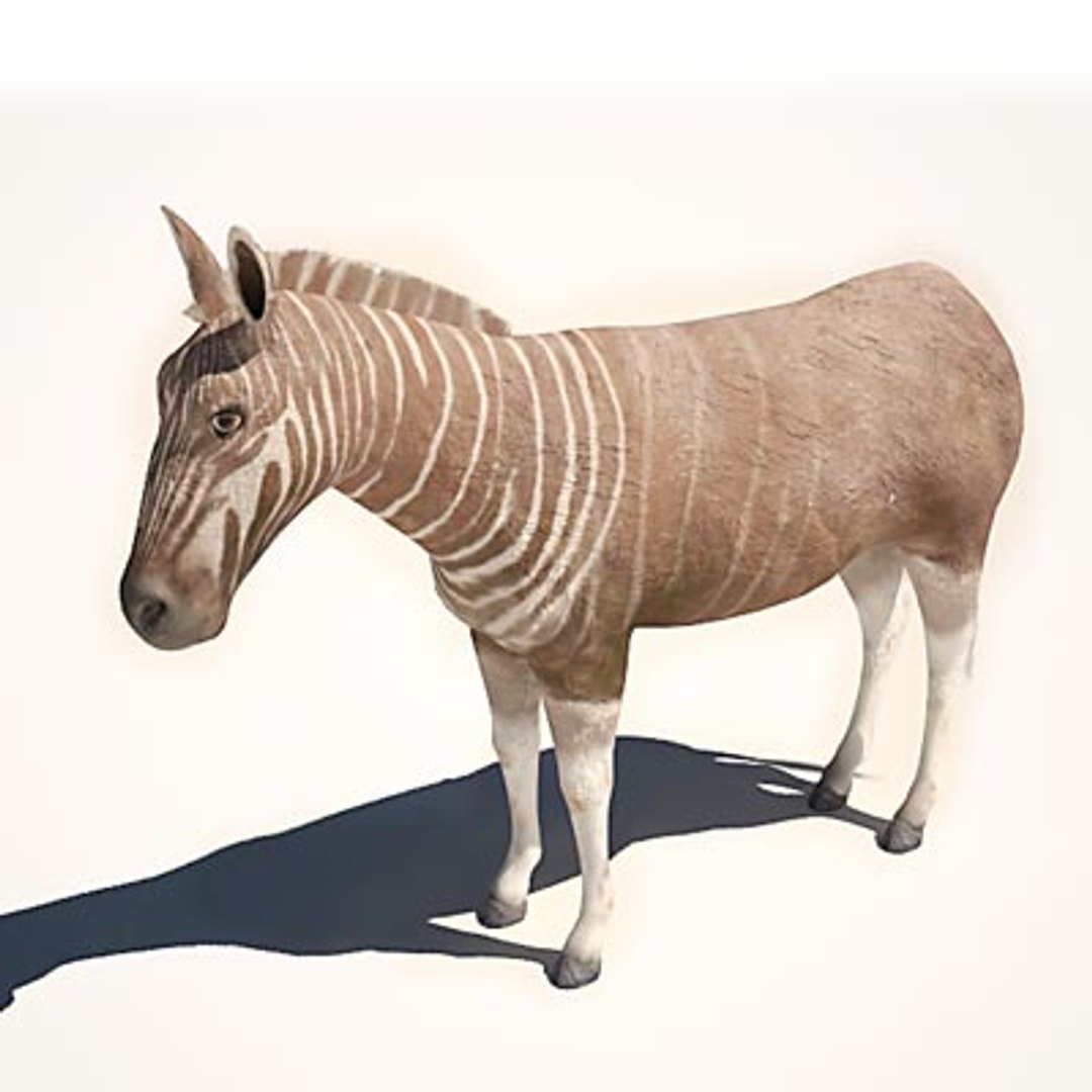 3d Model Quagga Extinct Animals