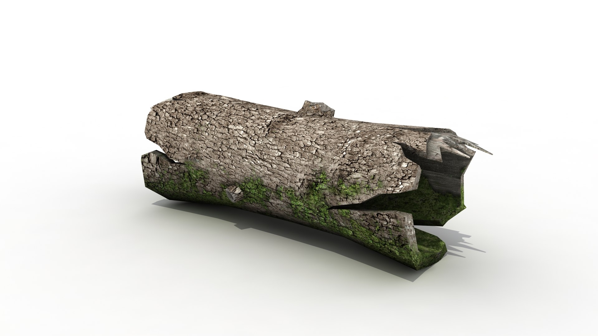 3D old pine tree trunk - TurboSquid 1156874