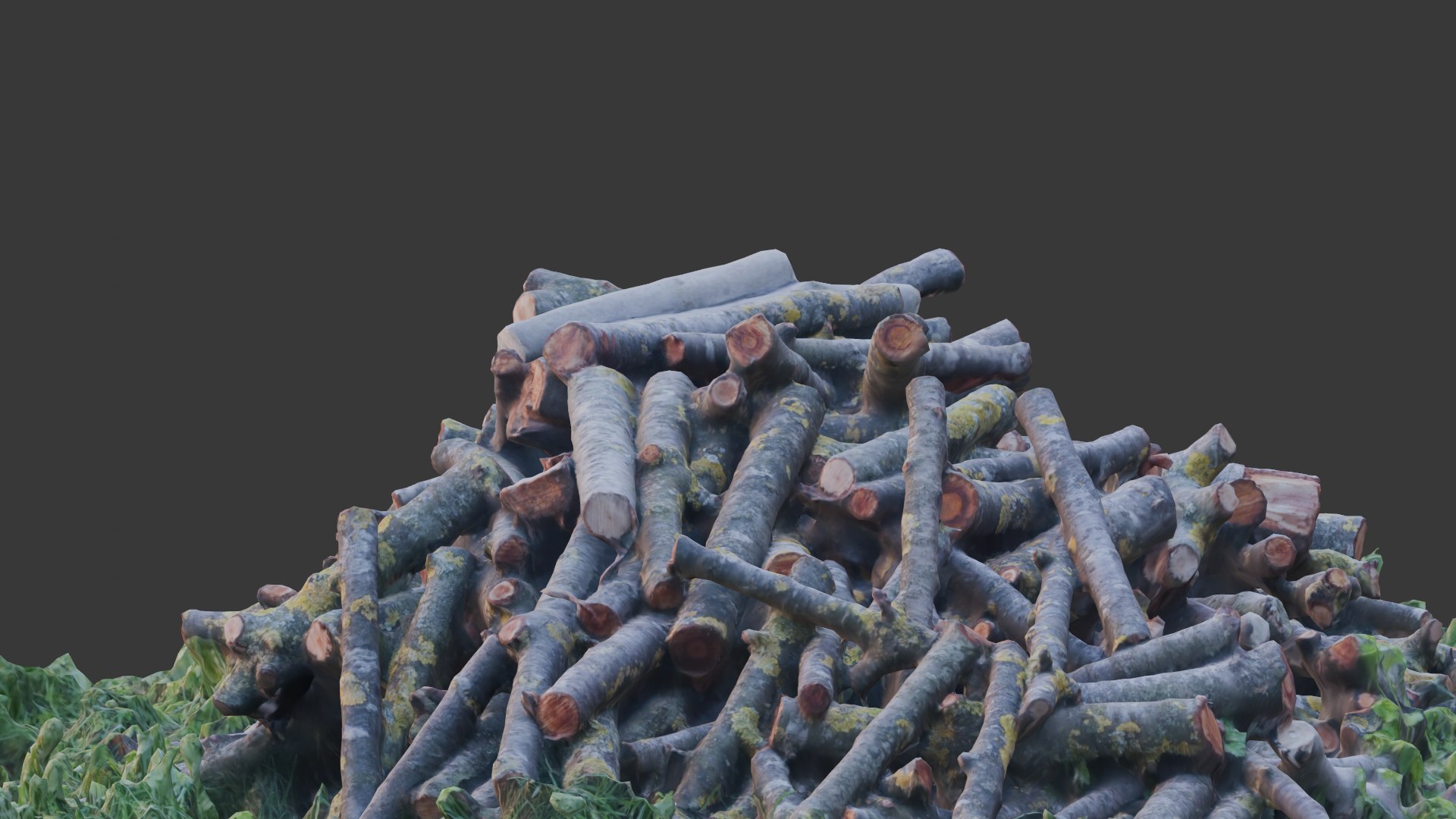 3D Small 3D Pile Of Wood Fire Chips Model - TurboSquid 2201003