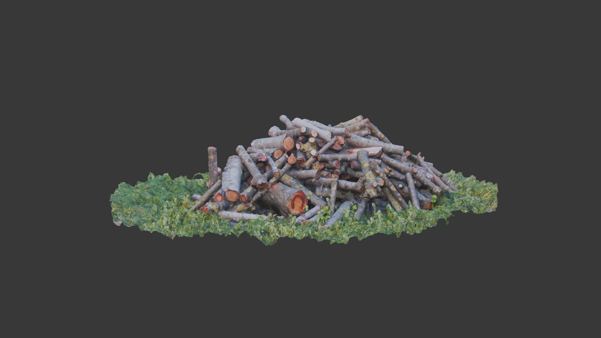 3D Small 3D Pile Of Wood Fire Chips Model - TurboSquid 2201003