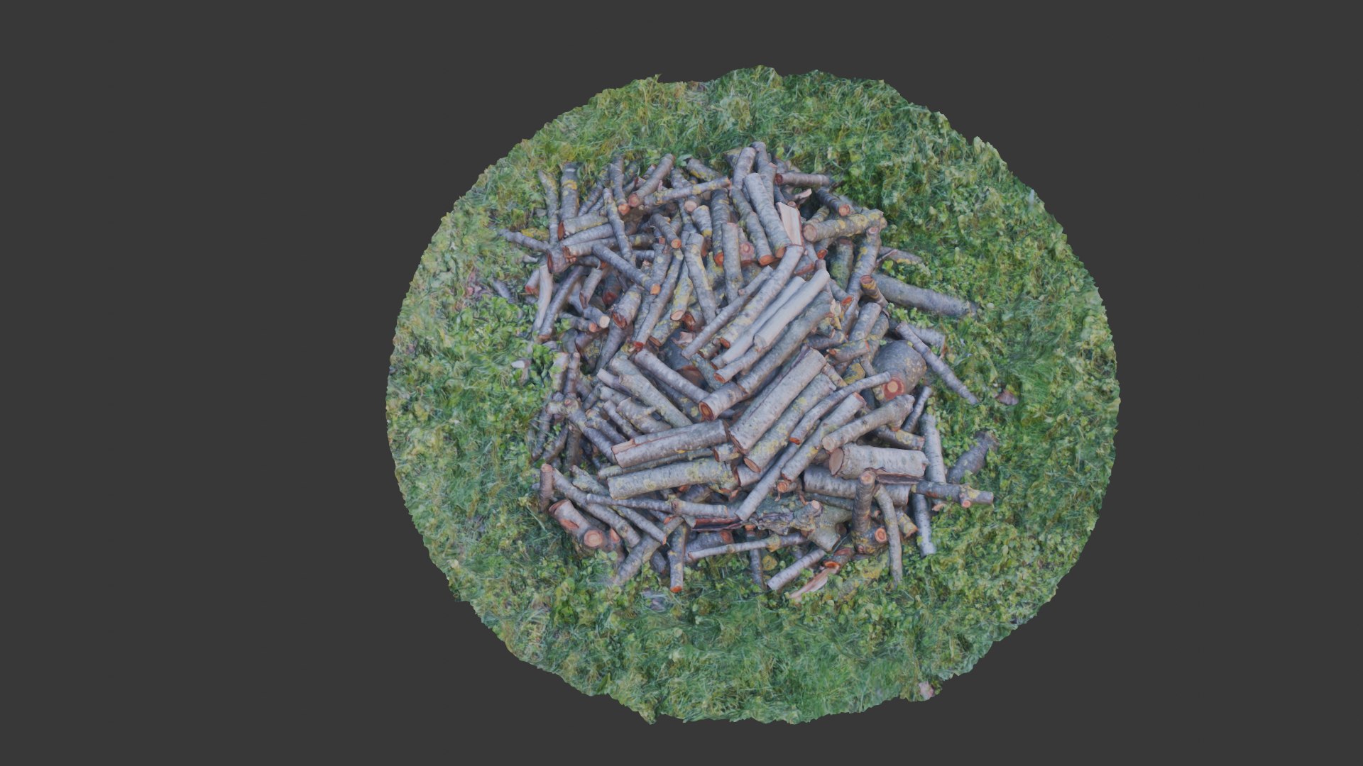 3D Small 3D Pile Of Wood Fire Chips Model - TurboSquid 2201003