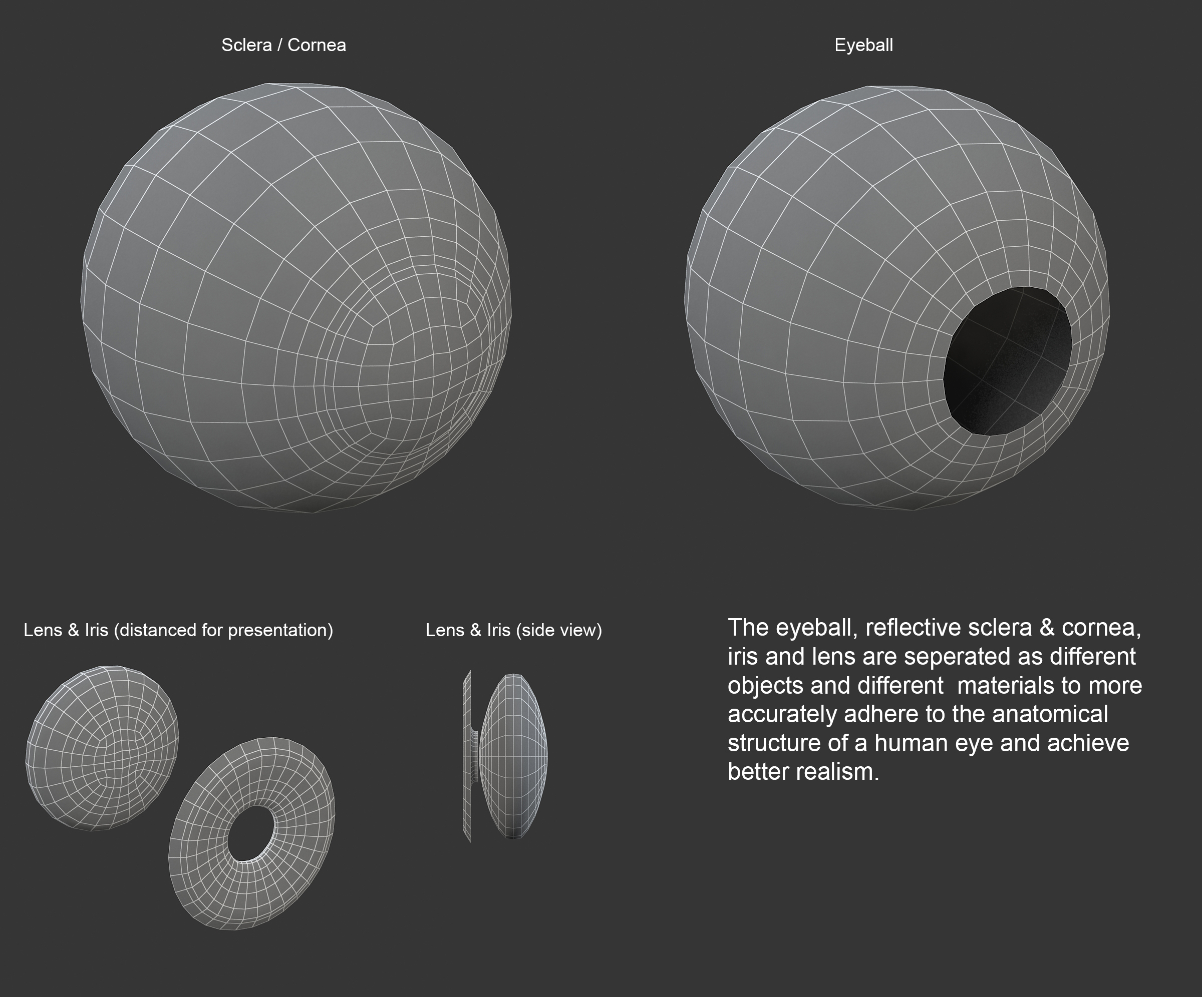 3d model human eye realistic