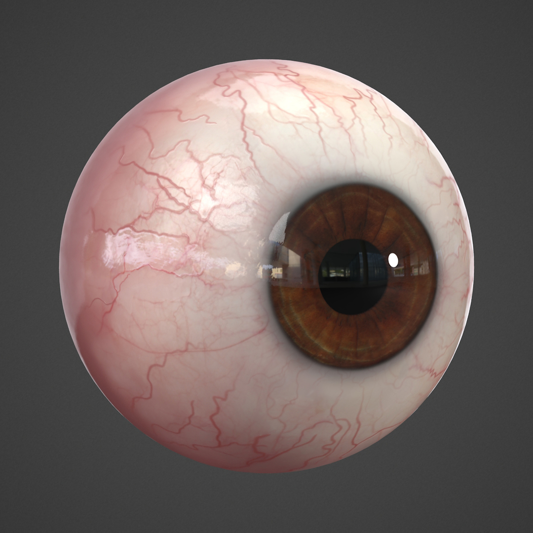 3d model human eye realistic
