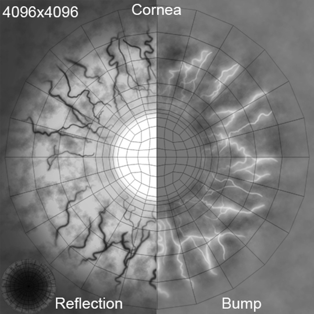 3d model human eye realistic