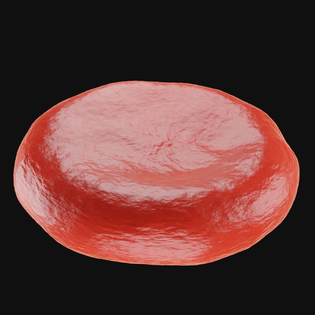 Red white blood cell 3D model - TurboSquid 1547237