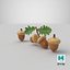 Acorns 3D - TurboSquid 1335138