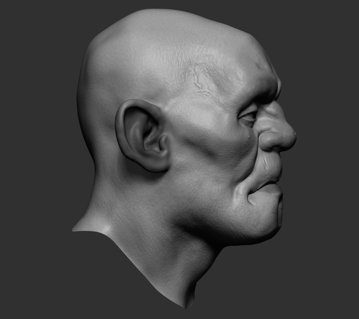 Head Ztl Zbrush Model - TurboSquid 1393256