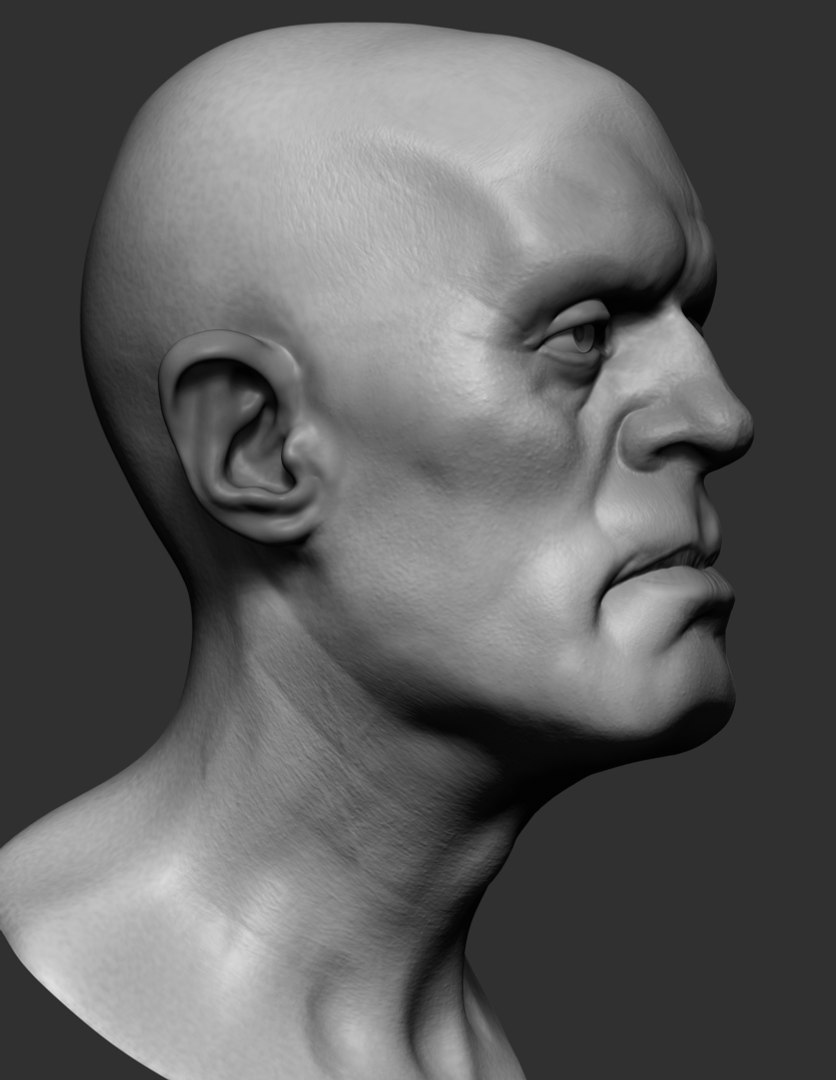 Head Ztl Zbrush Model - TurboSquid 1393256