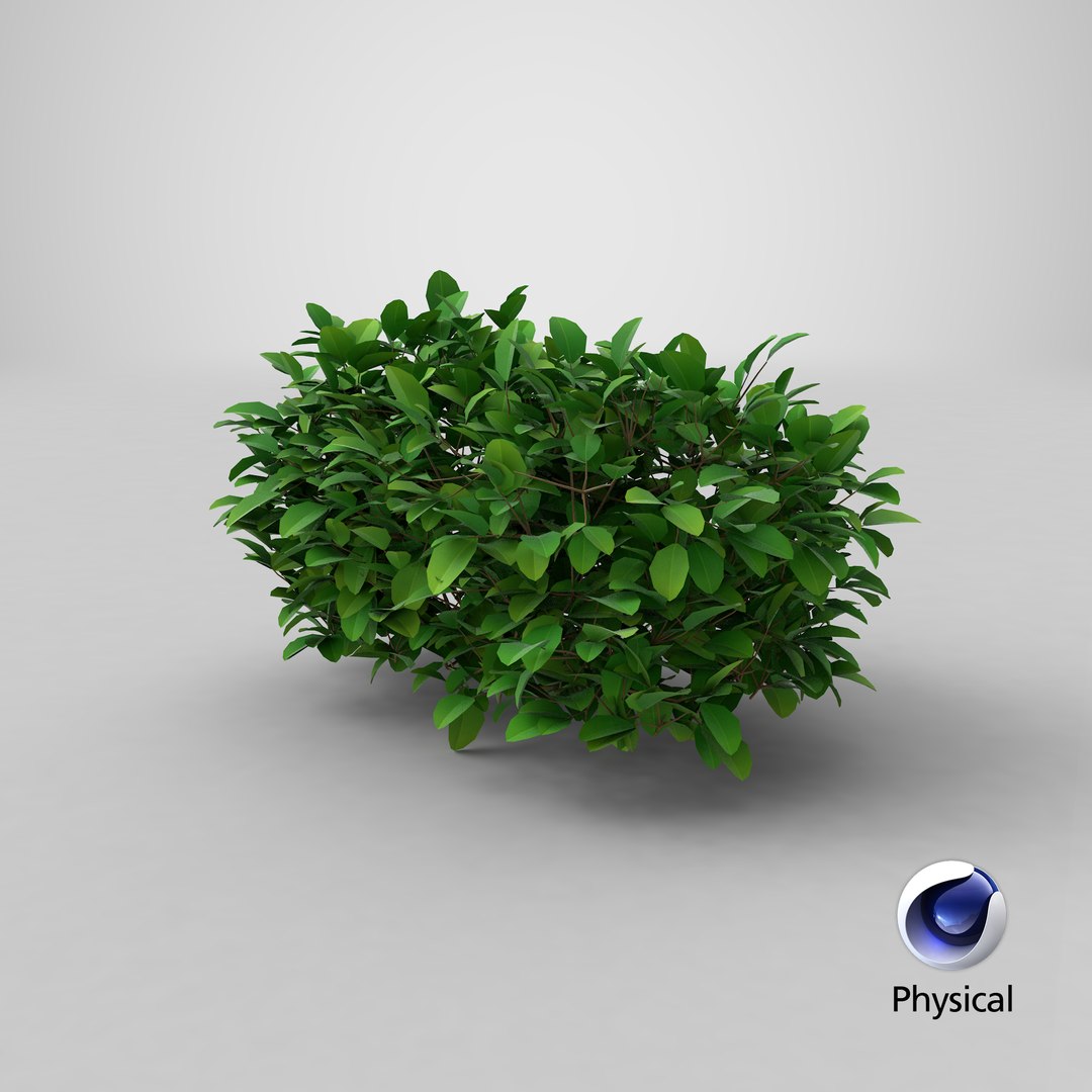 Cartoon Bush 02 Model - TurboSquid 1941413