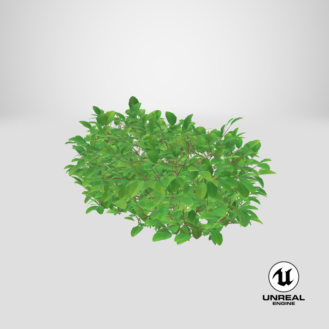 Cartoon Bush 02 Model - TurboSquid 1941413