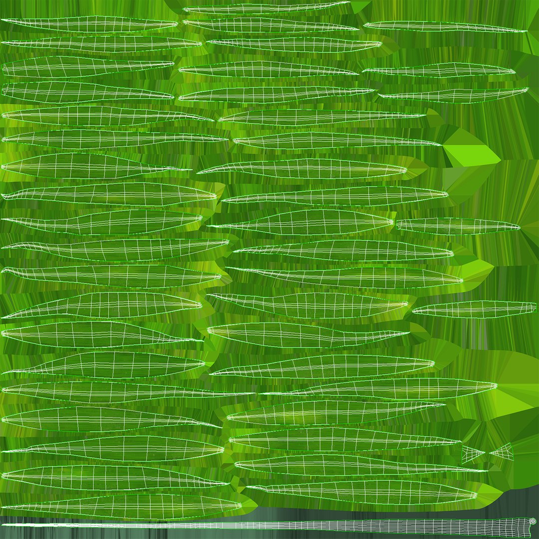 Chico photorealistic 3D model - TurboSquid 1439059