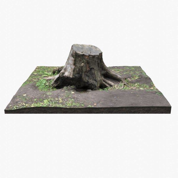 3D model Tree Log PBR Scan Retopo - TurboSquid 1837564