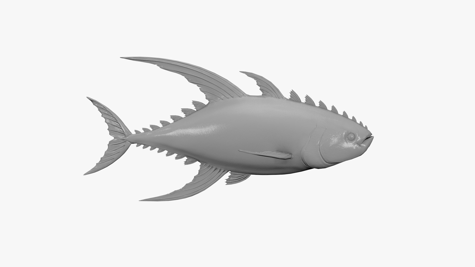 3D Tuna Fish Model - TurboSquid 2370251