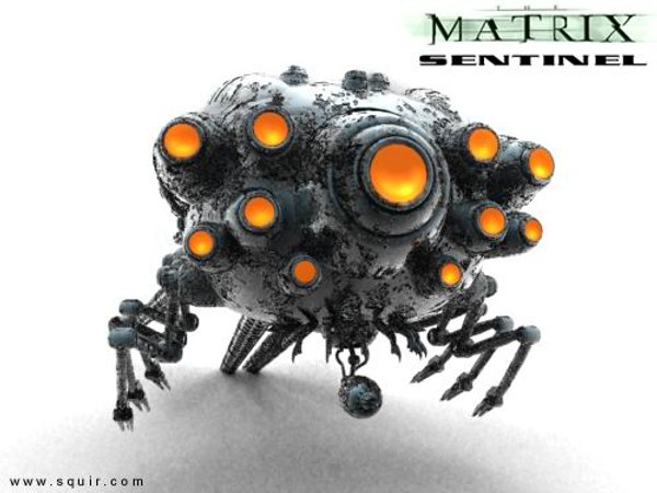 3d model matrix sentinel