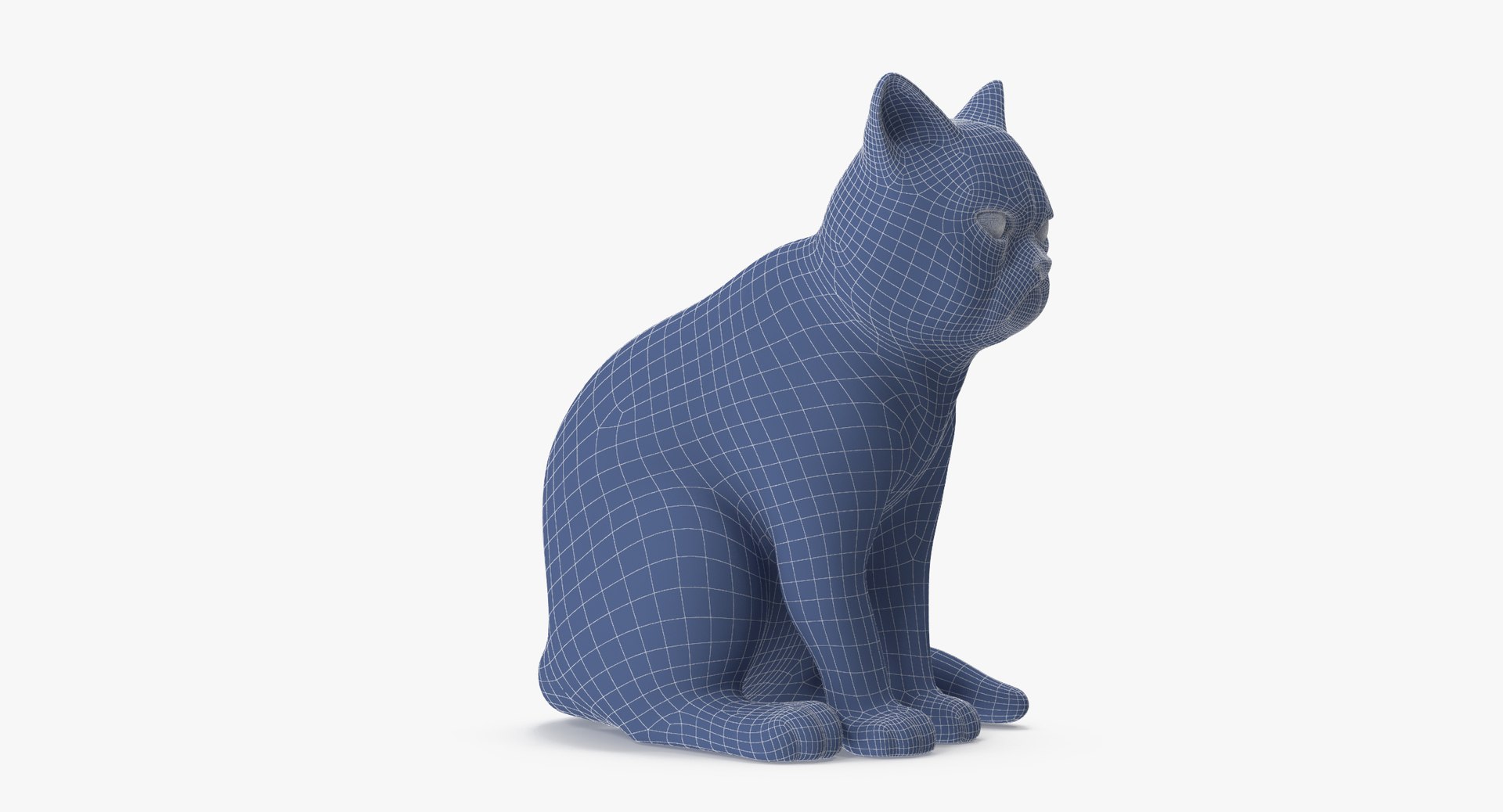 Grumpy Cat 3d Model