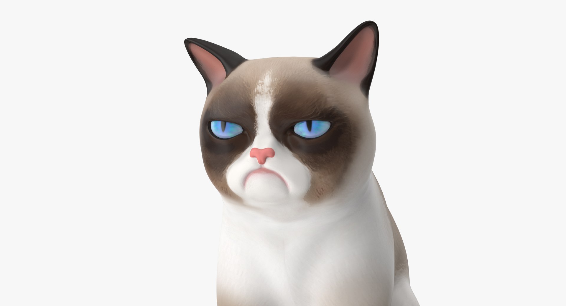 Grumpy Cat 3d Model