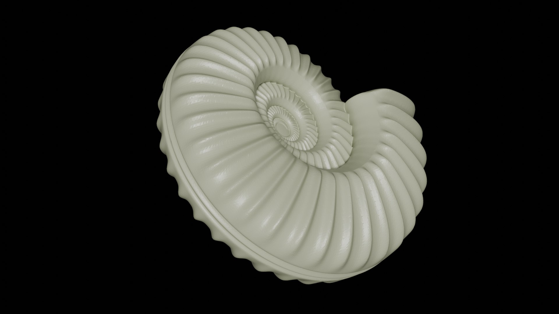 3D Sub Evolute Ammonoid Shell With Ventral Furrow - TurboSquid 2290975