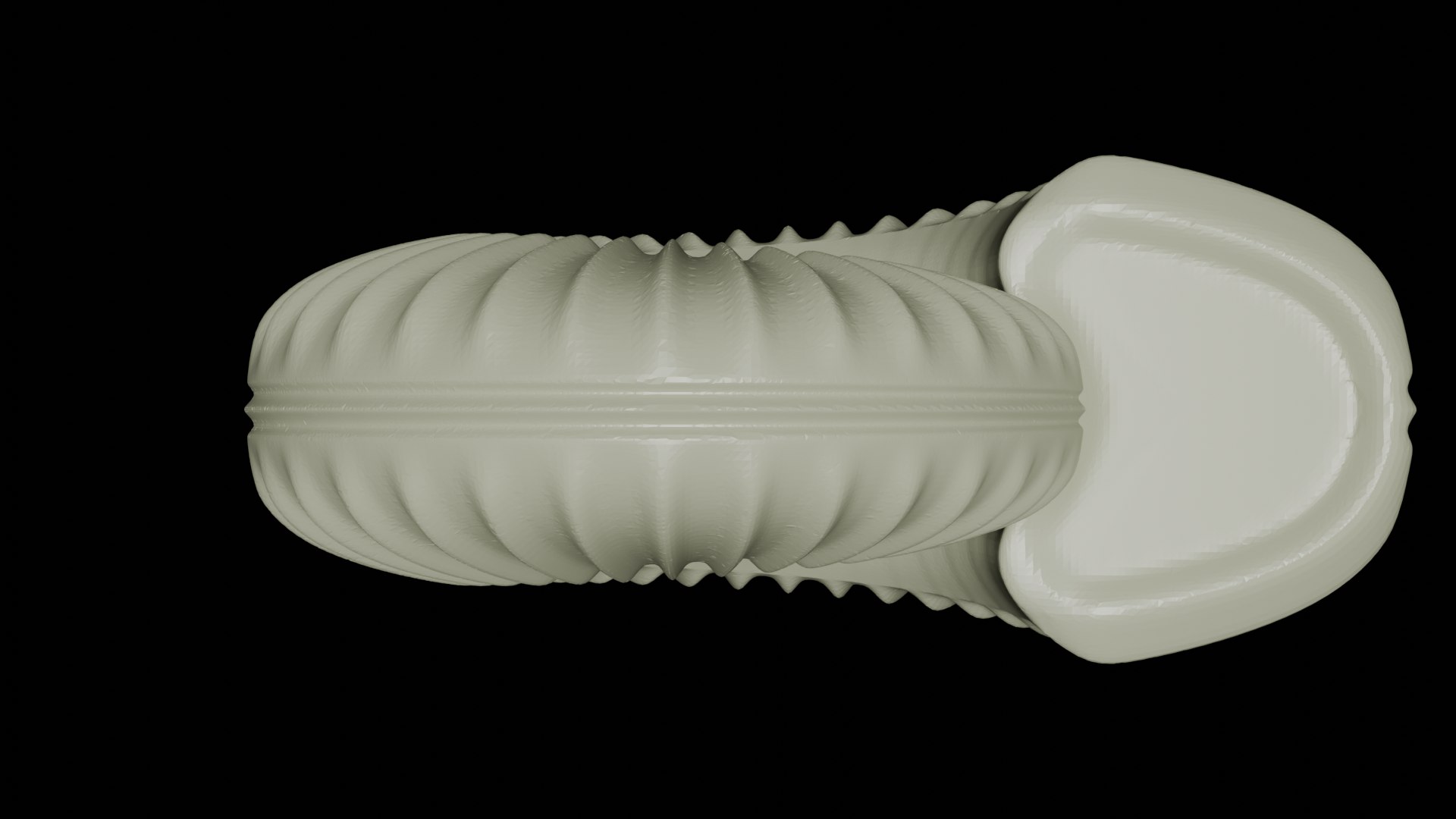 3D Sub Evolute Ammonoid Shell With Ventral Furrow - TurboSquid 2290975
