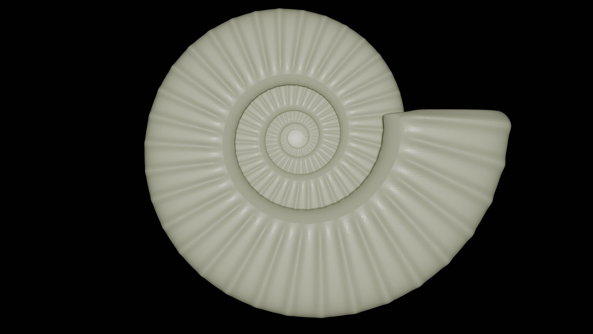 3D Sub Evolute Ammonoid Shell With Ventral Furrow - TurboSquid 2290975