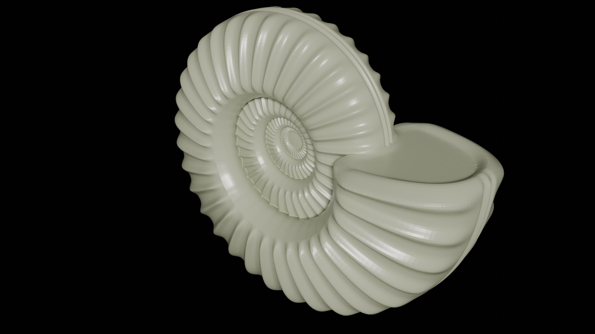 3D Sub Evolute Ammonoid Shell With Ventral Furrow - TurboSquid 2290975