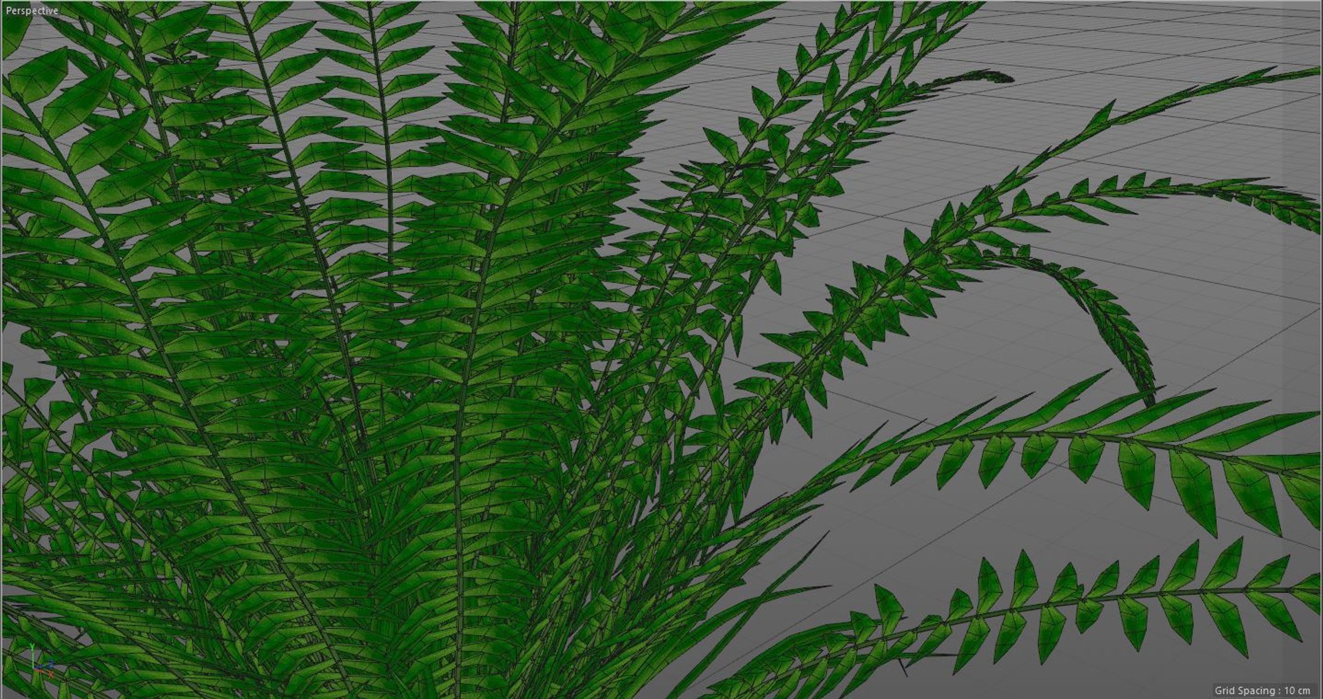 Fern Grass 3D - TurboSquid 1472604