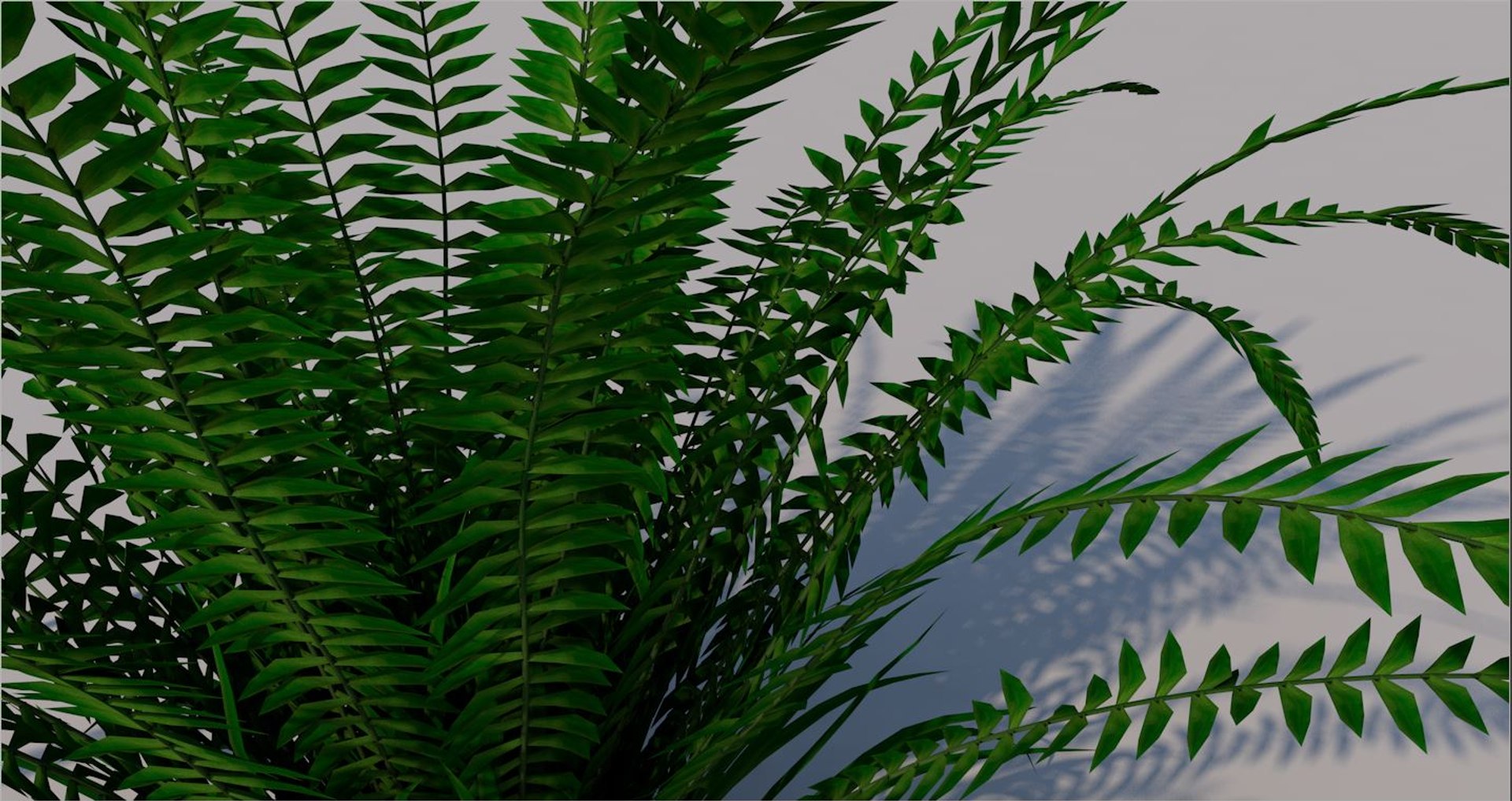Fern Grass 3D - TurboSquid 1472604