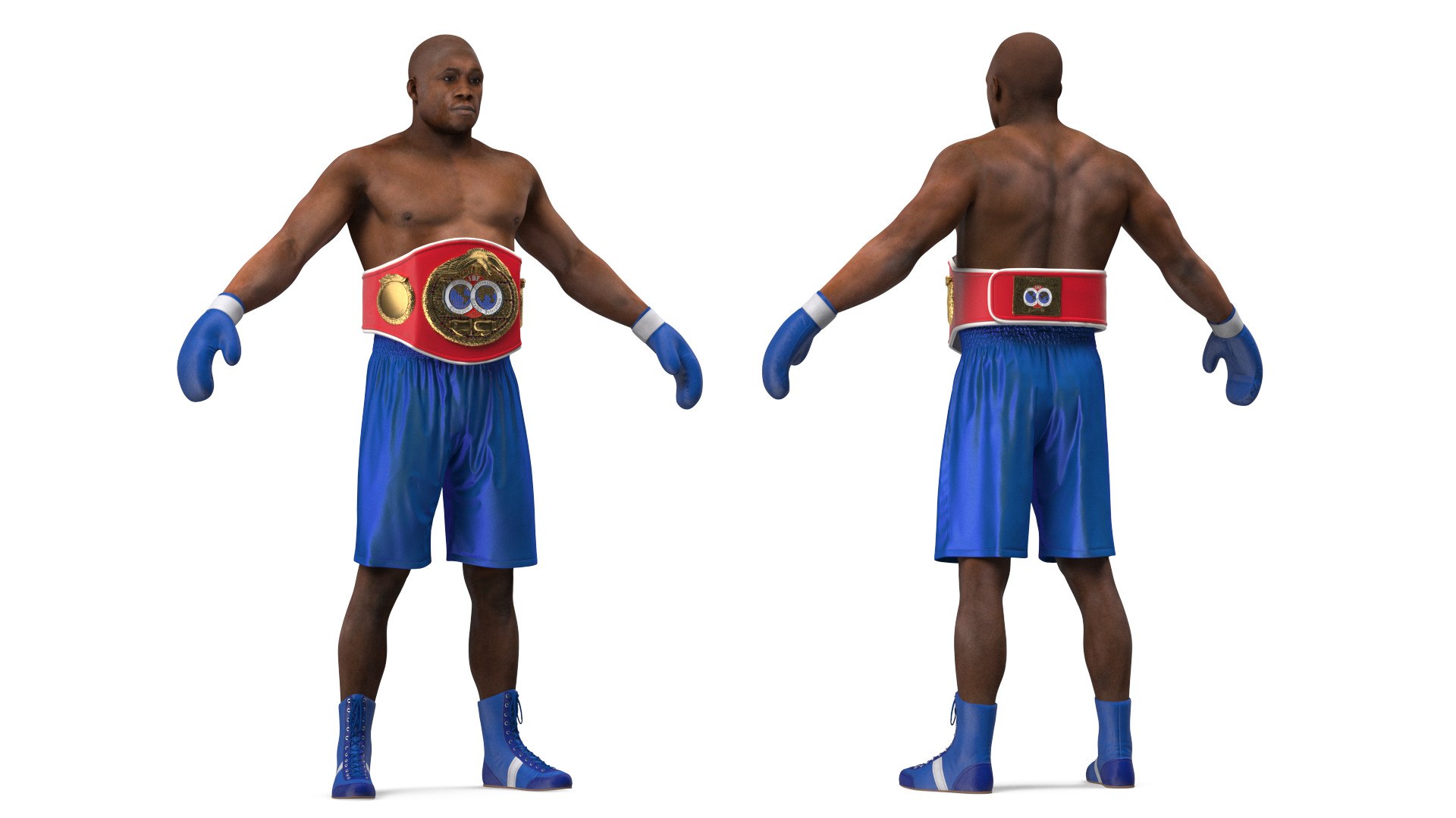 International Boxing Federation Champion Rigged For Cinema 4D 3D Model ...