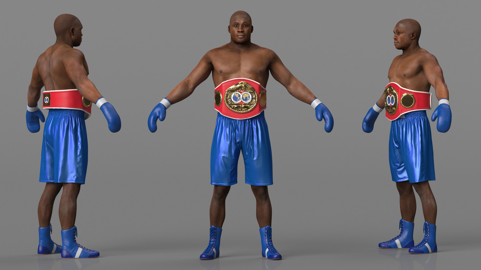 International Boxing Federation Champion Rigged For Cinema 4D 3D Model ...