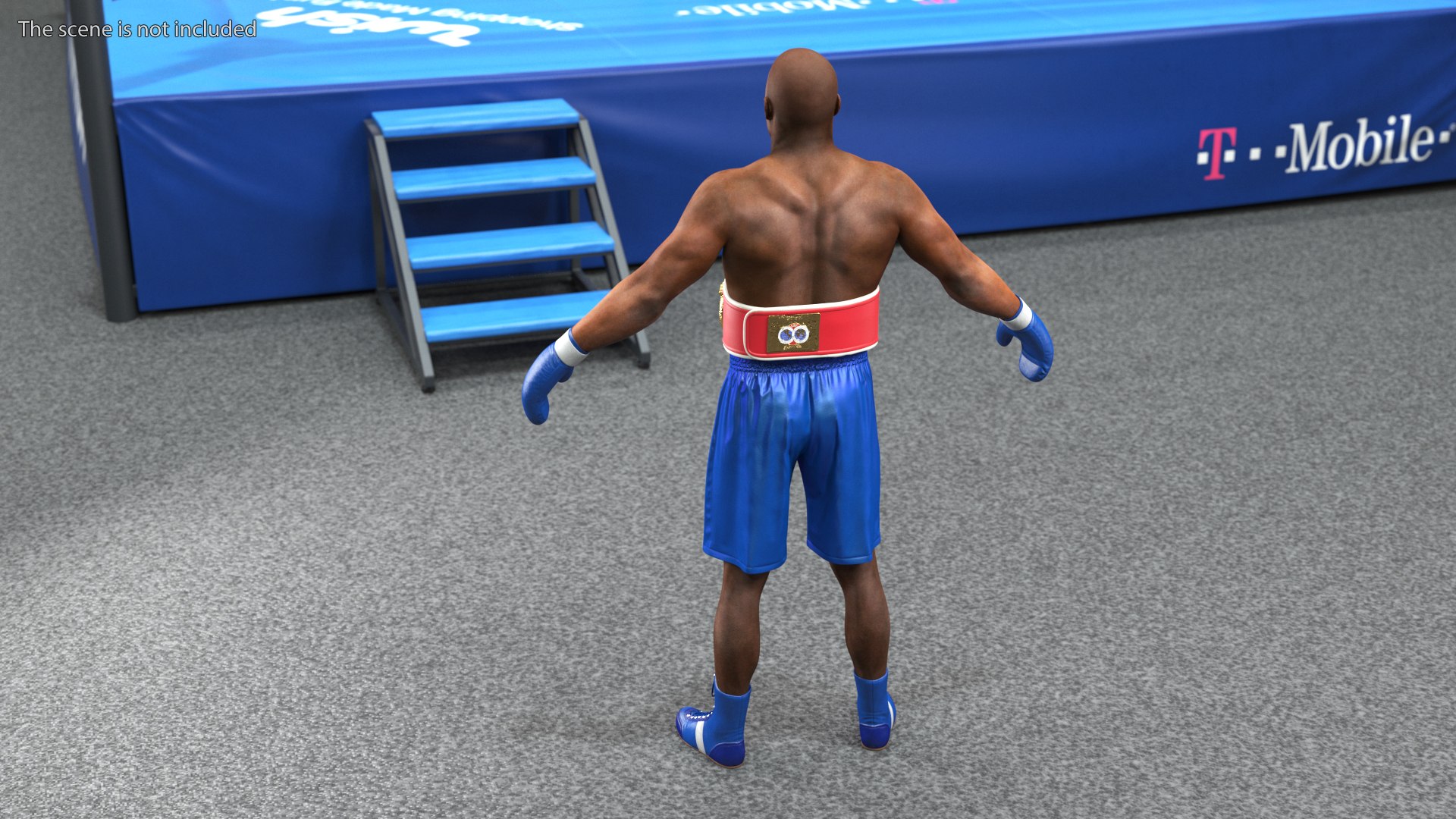 International Boxing Federation Champion Rigged For Cinema 4D 3D Model ...