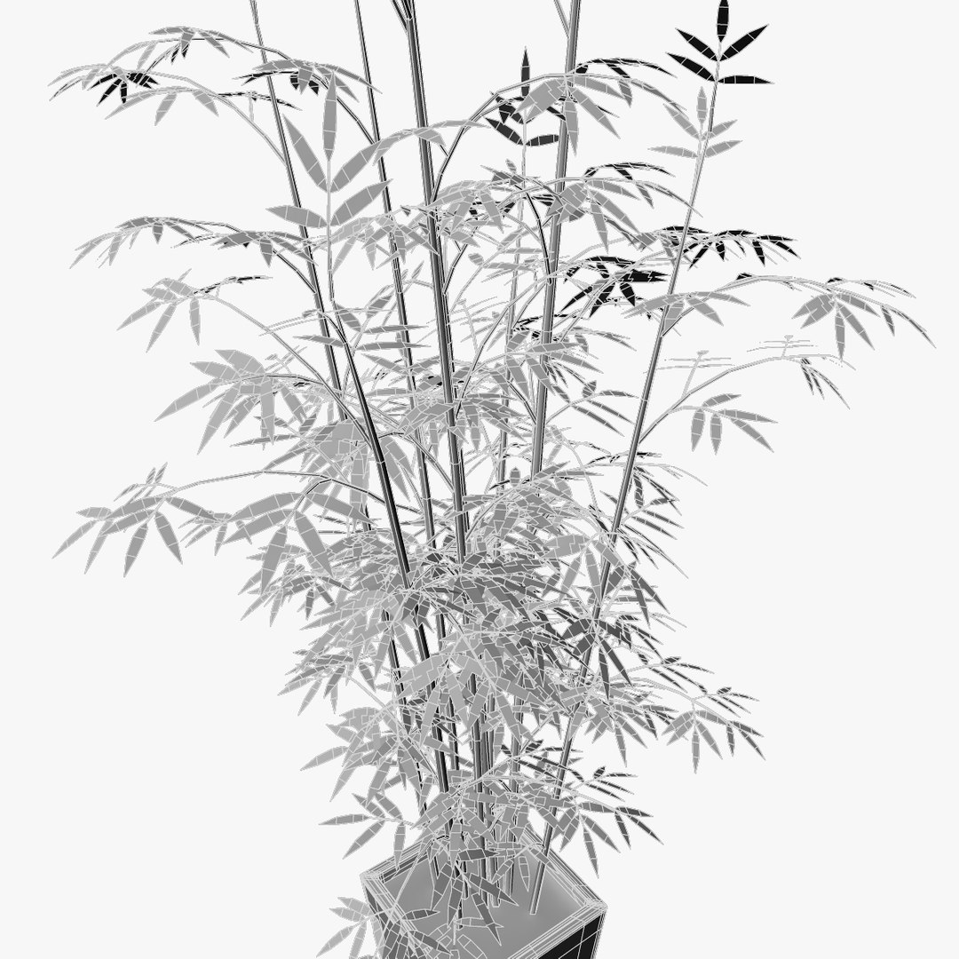 bamboo plant 3d max