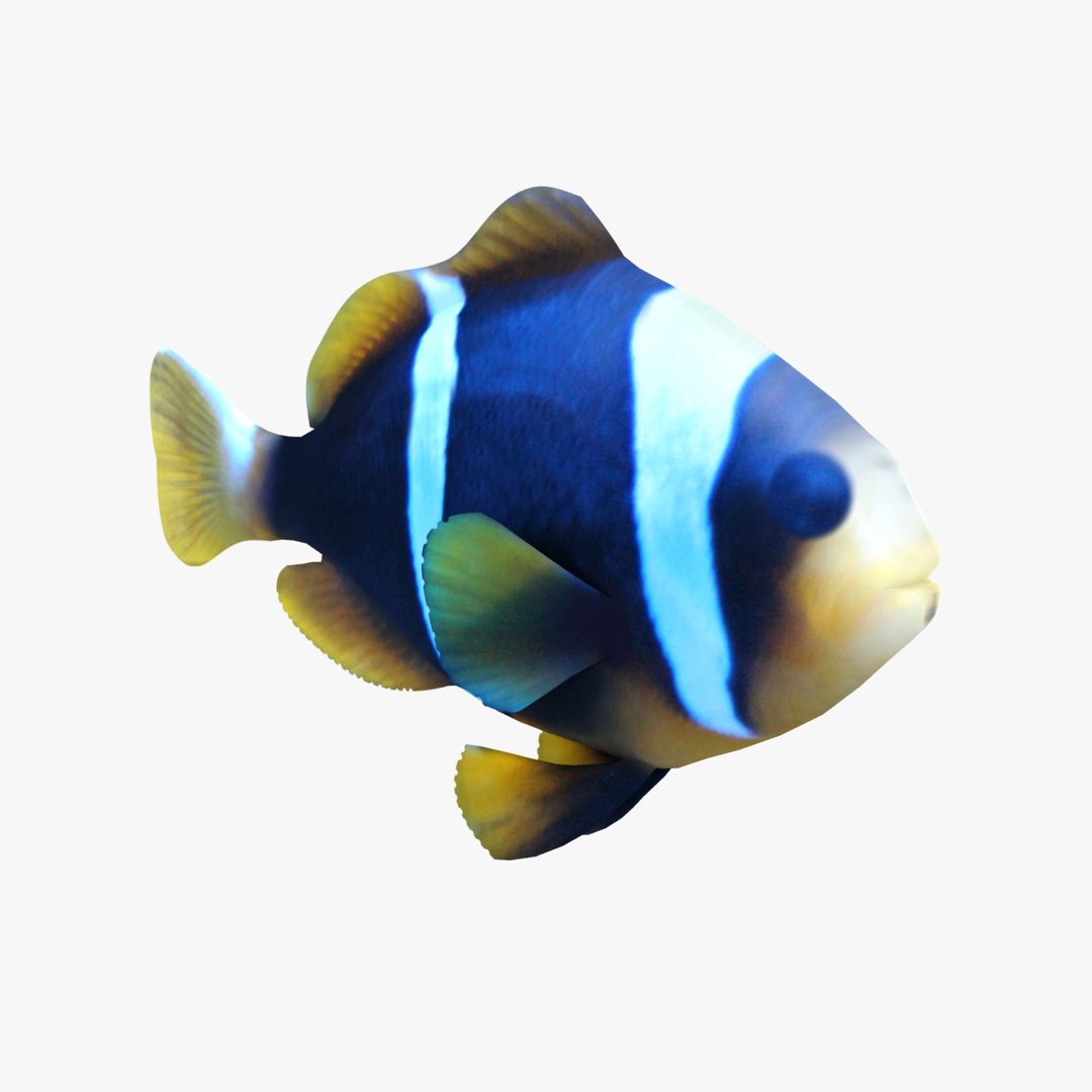 3ds max fish aquarium