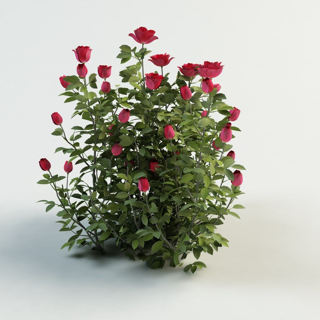 3d 3ds Rose Bush