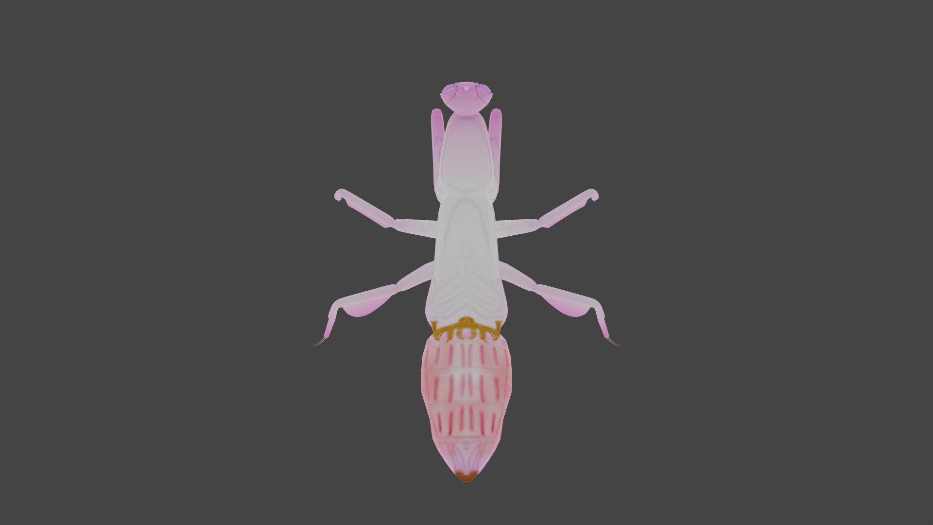 3D Model Low Poly Rigged Orchid Mantis - TurboSquid 2118606