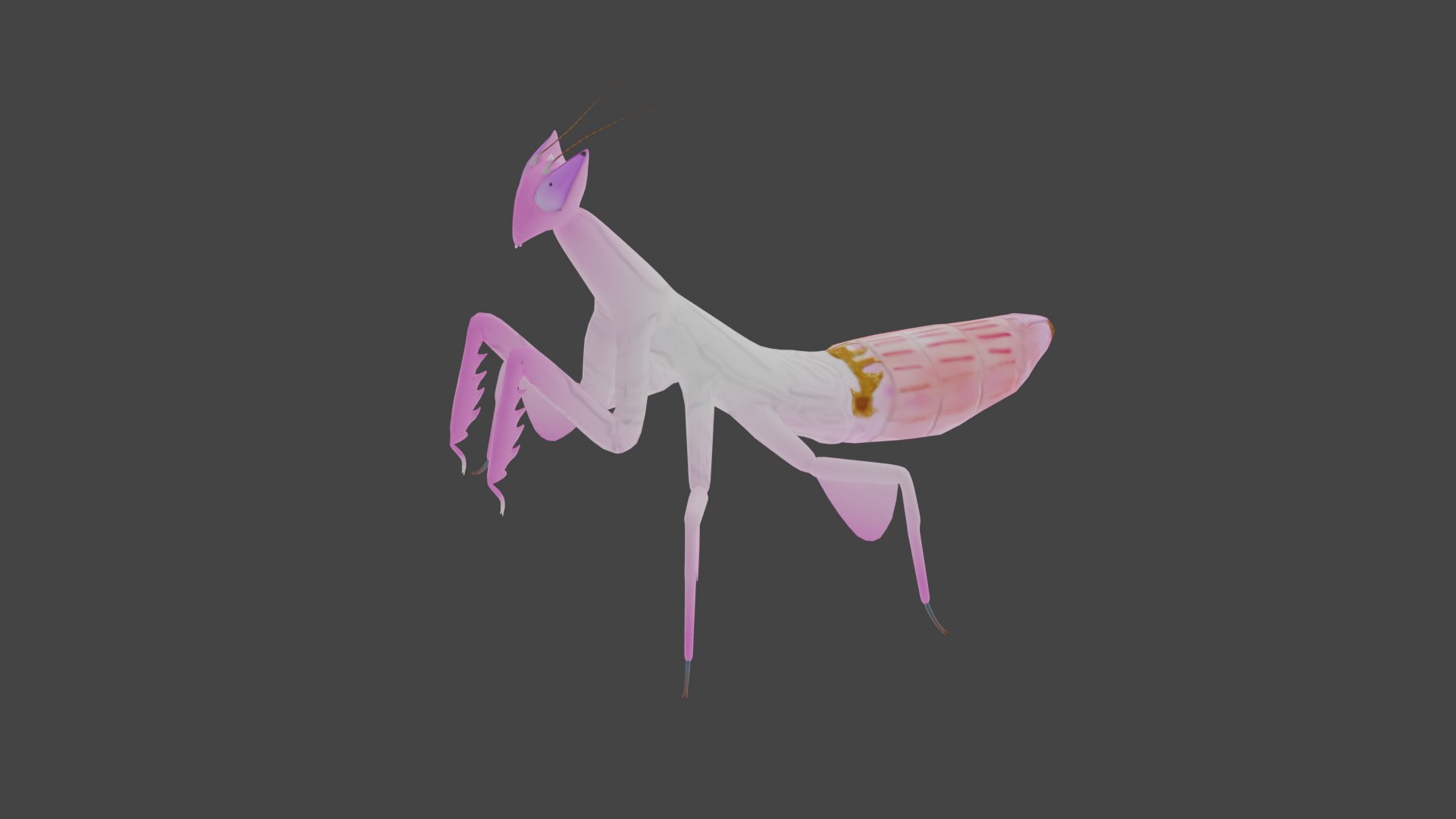 3D Model Low Poly Rigged Orchid Mantis - TurboSquid 2118606