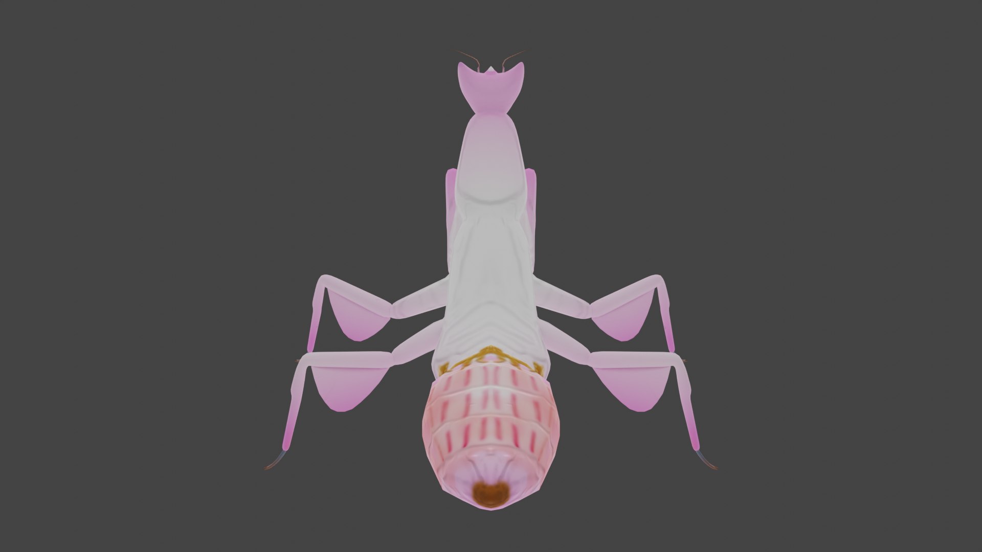 3D Model Low Poly Rigged Orchid Mantis - TurboSquid 2118606