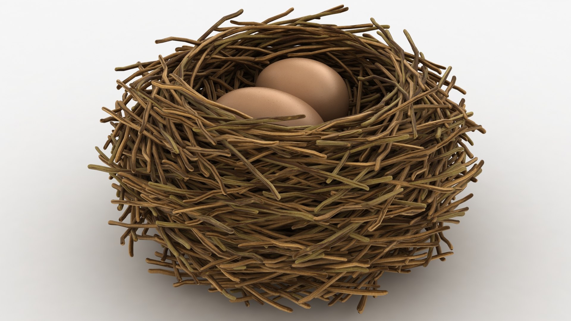 3D Realistic Bird Nest 06 - TurboSquid 1562206