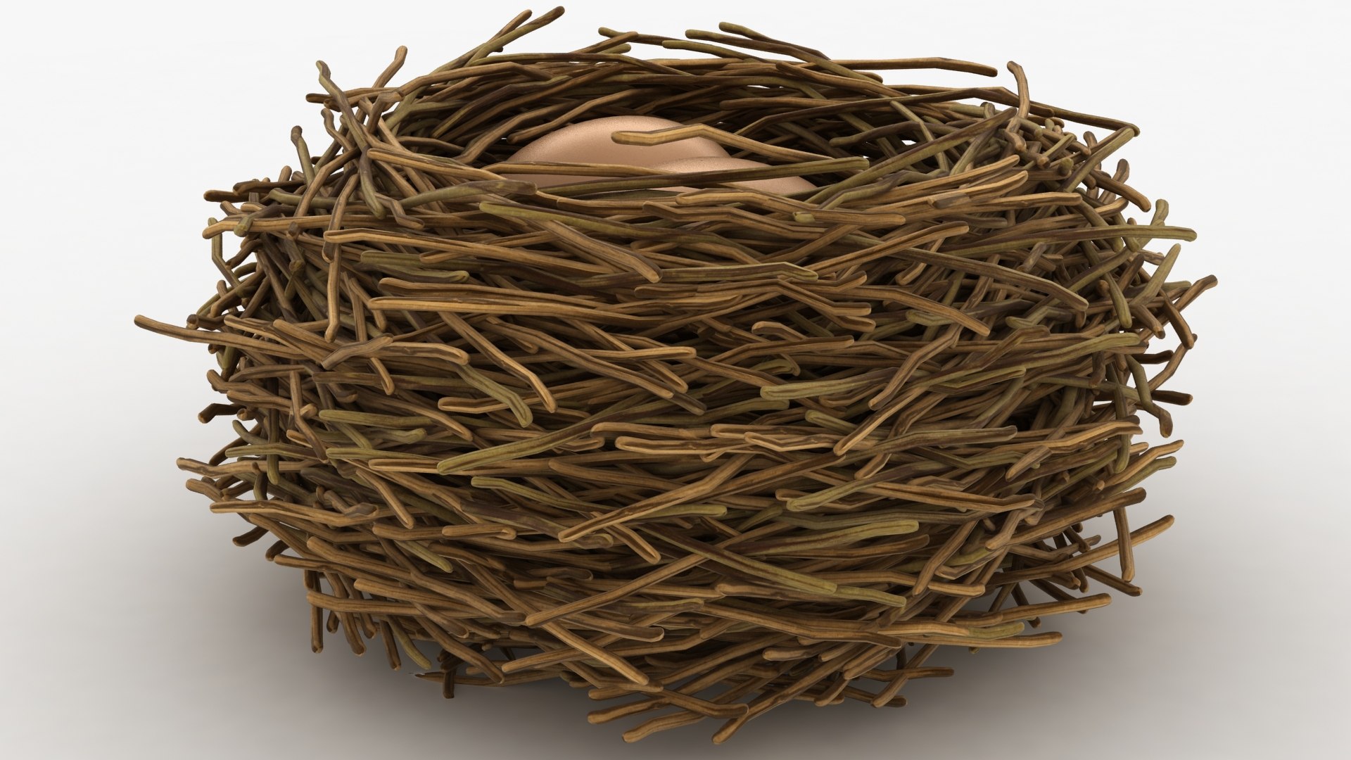 3D Realistic Bird Nest 06 - TurboSquid 1562206