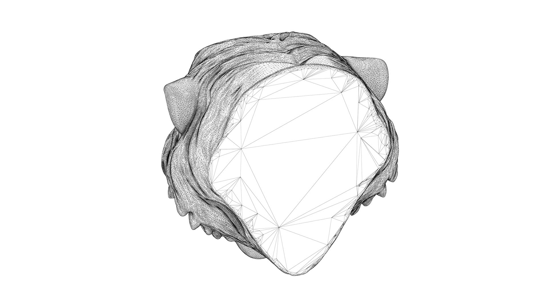 Tiger Wildlife Model - TurboSquid 1683551