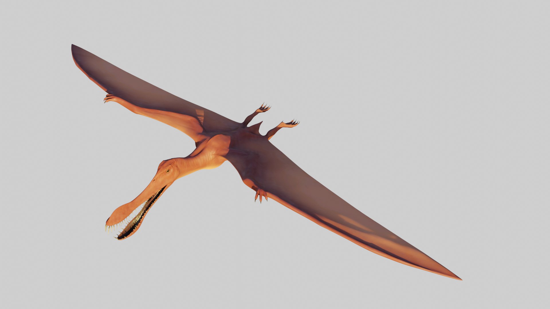 Maaradactylus Dinosaur 3D model - TurboSquid 2079705