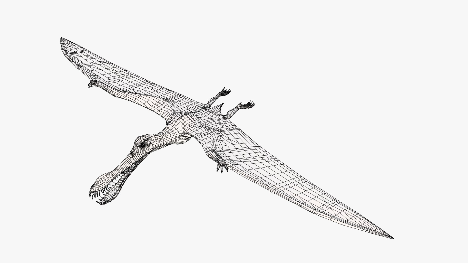 Maaradactylus Dinosaur 3D model - TurboSquid 2079705