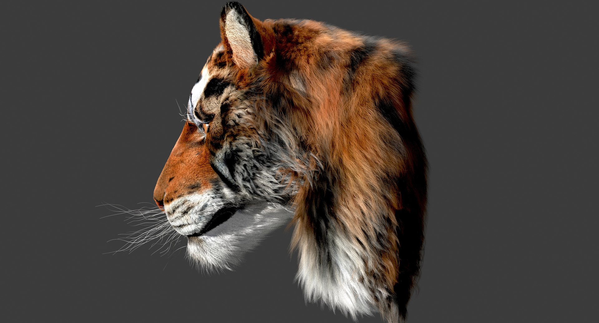 3D Model Tiger Head - TurboSquid 1411173