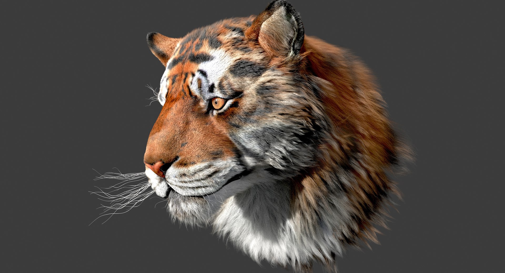 3D Model Tiger Head - TurboSquid 1411173