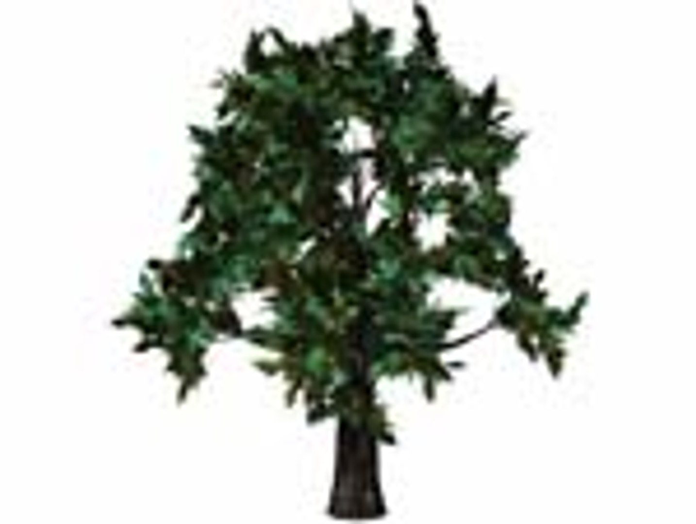 wild tree obj