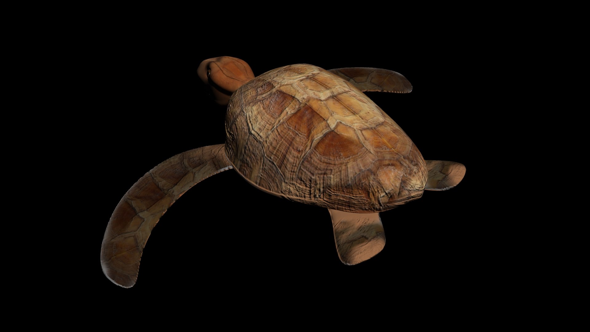 Free Turtle 3d Model