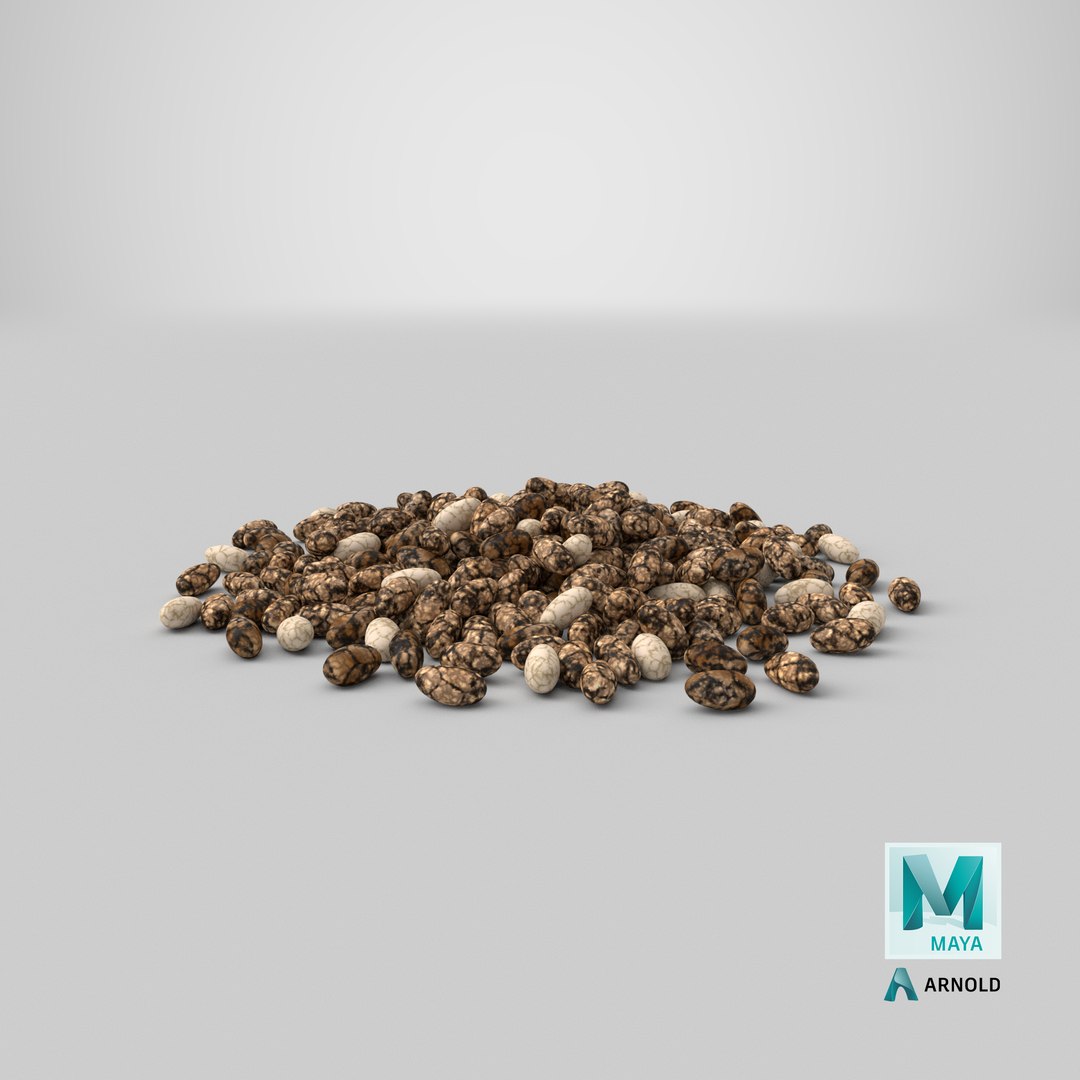3D Realistic Chia Seeds Pile - TurboSquid 1631553